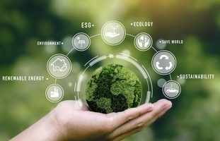Elevating Quality and Green Practices: Our ISO 9001 and 14001 Journey ...